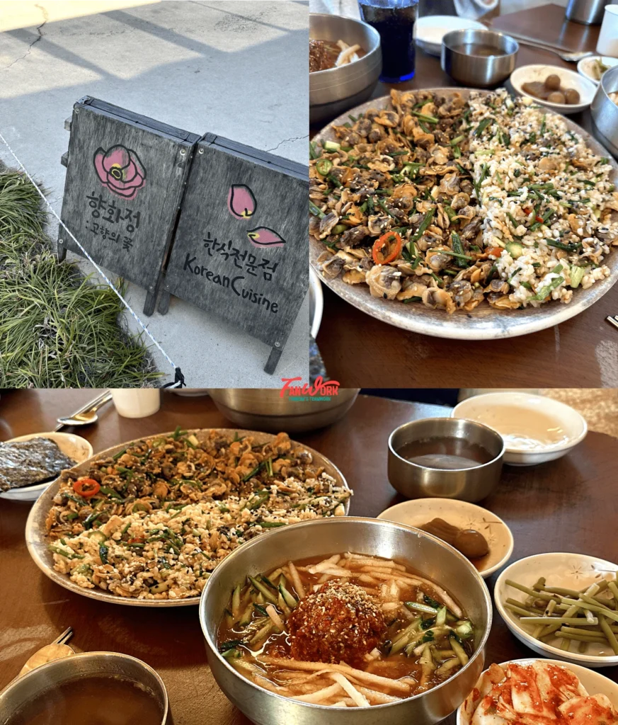 Spring in Gyeongju: A Perfect Blend of History and Nature | FanWork