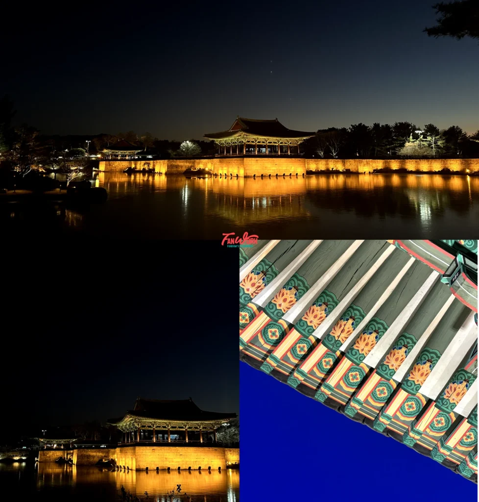 Spring in Gyeongju: A Perfect Blend of History and Nature | FanWork